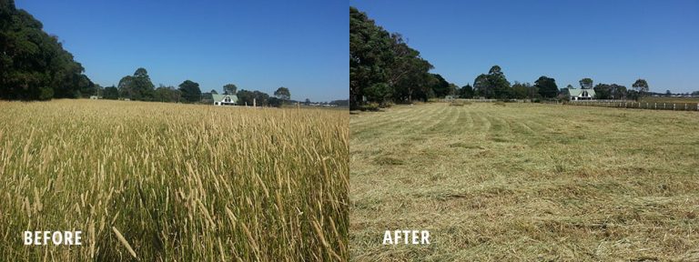 Slashing & Acreage Mowing Victoria - Scenic Surrounds